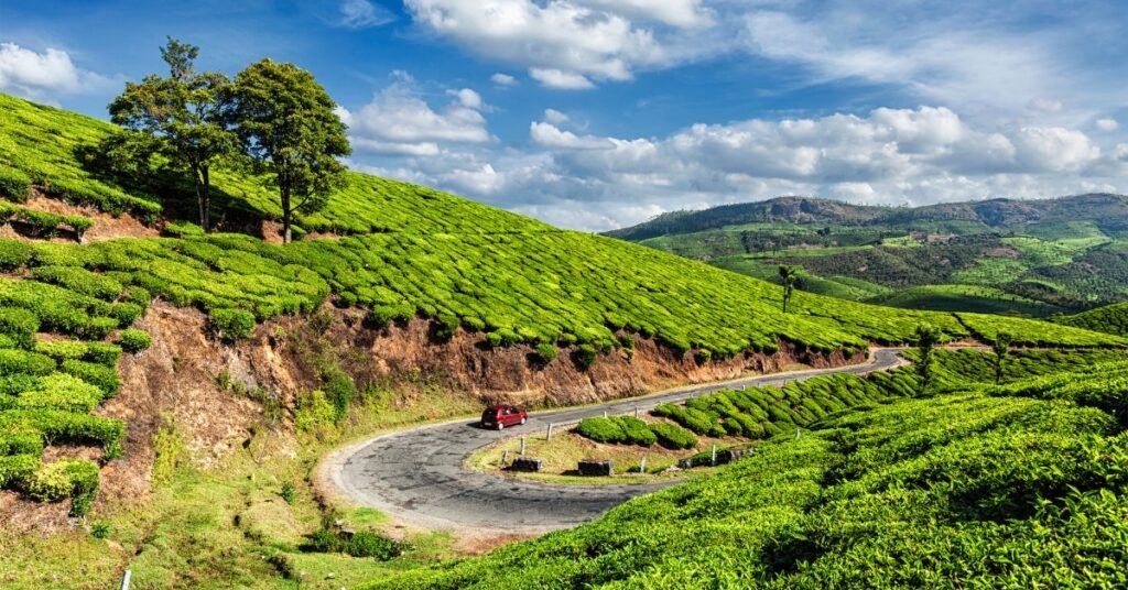 Travel Quotes Malayalam: Beautiful Travel Quotes In Malayalam To ...